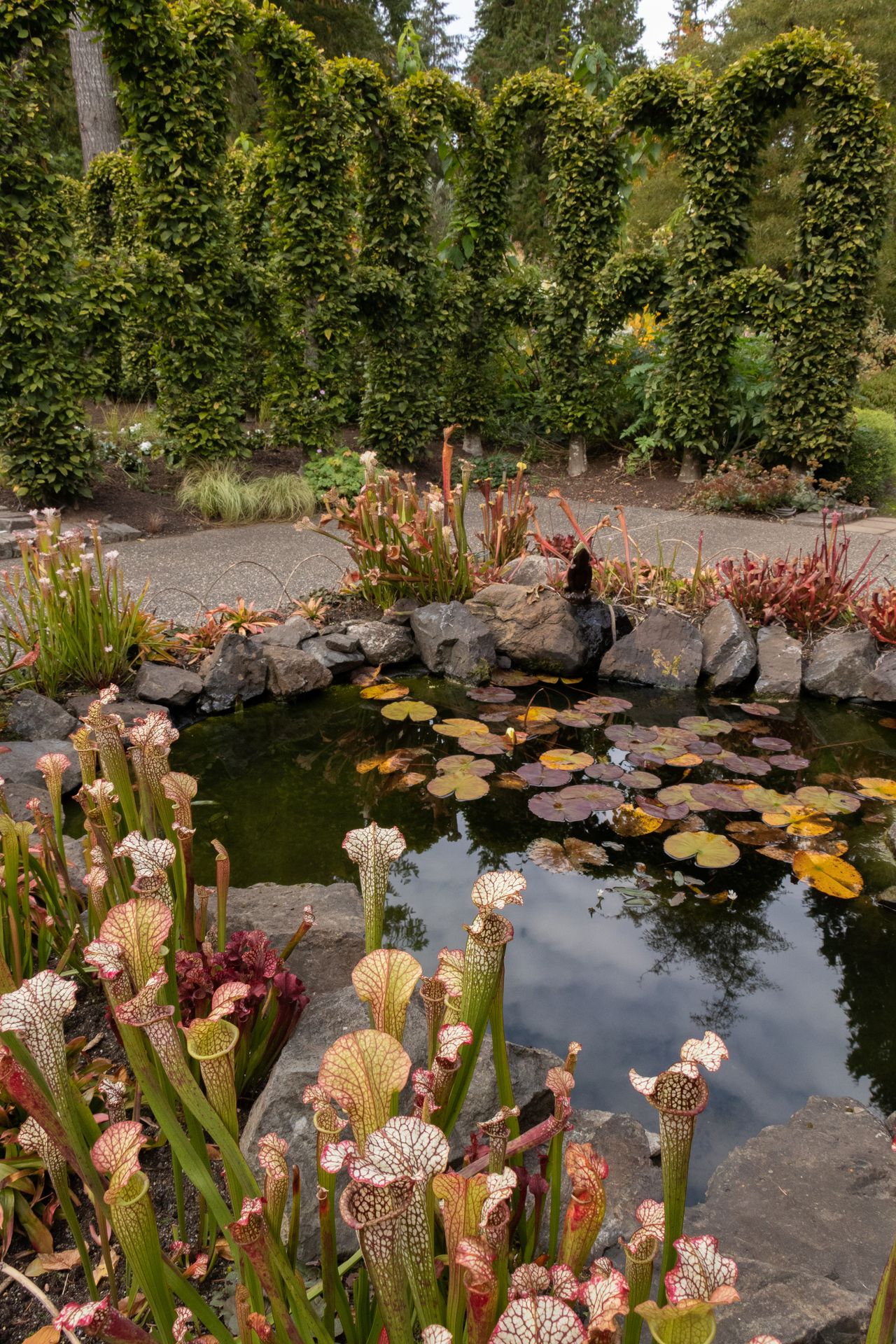 Heronswood Heritage Tour | Heronswood Garden