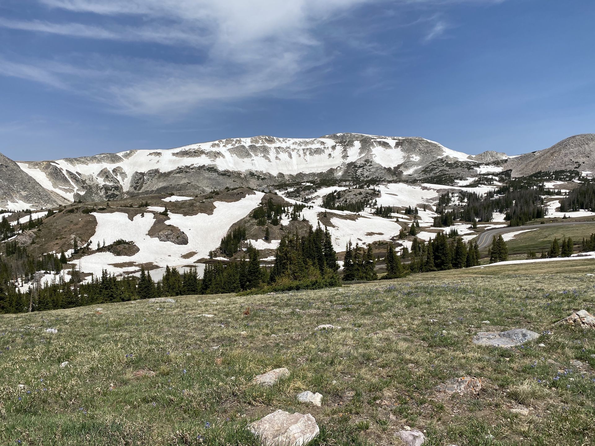 The Rockies, with Dr. Ross Bayton | Heronswood Garden