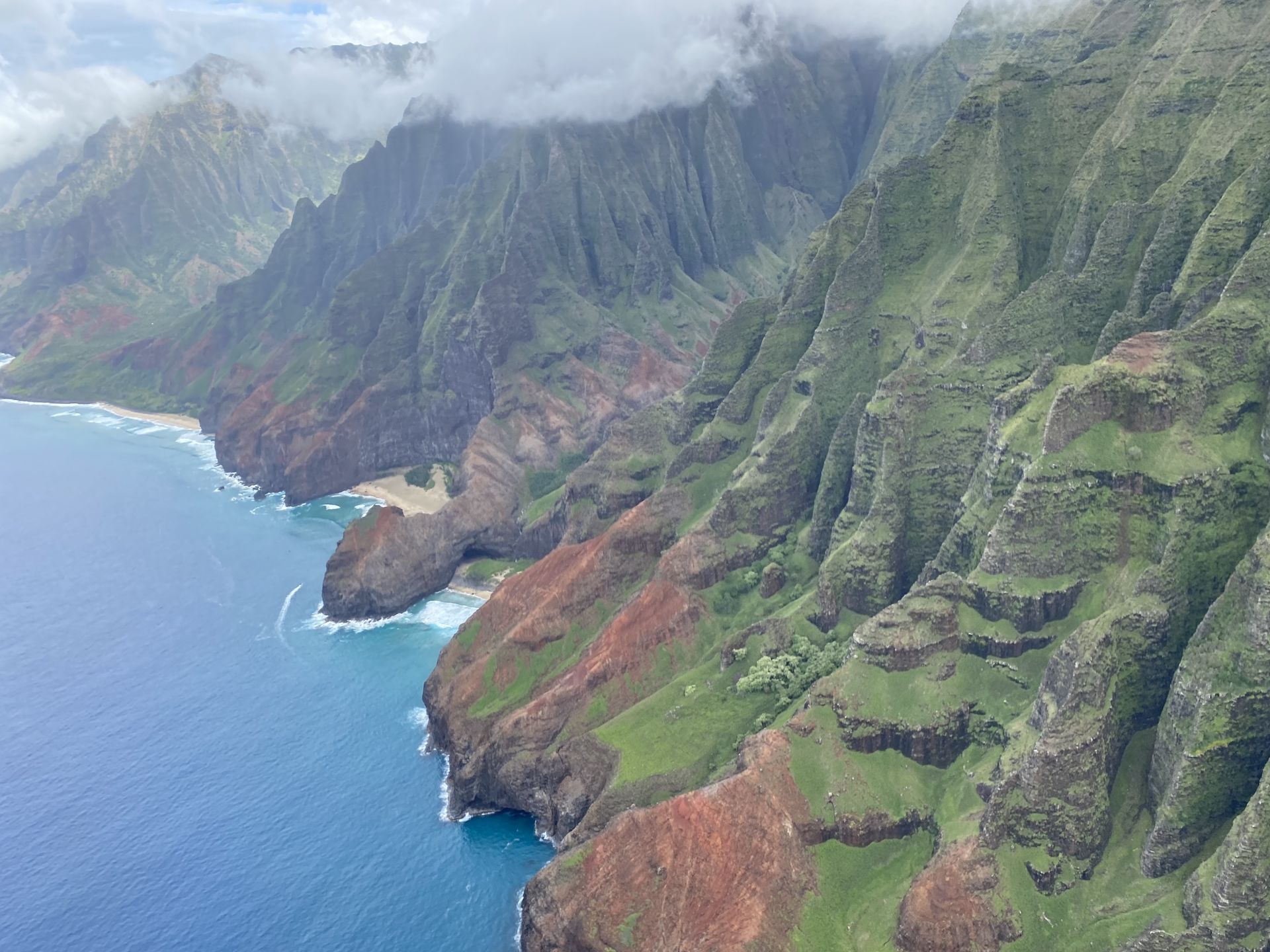 Kaua'i: Island of Botanical Dreams & Disasters, with Dr. Ross Bayton ...
