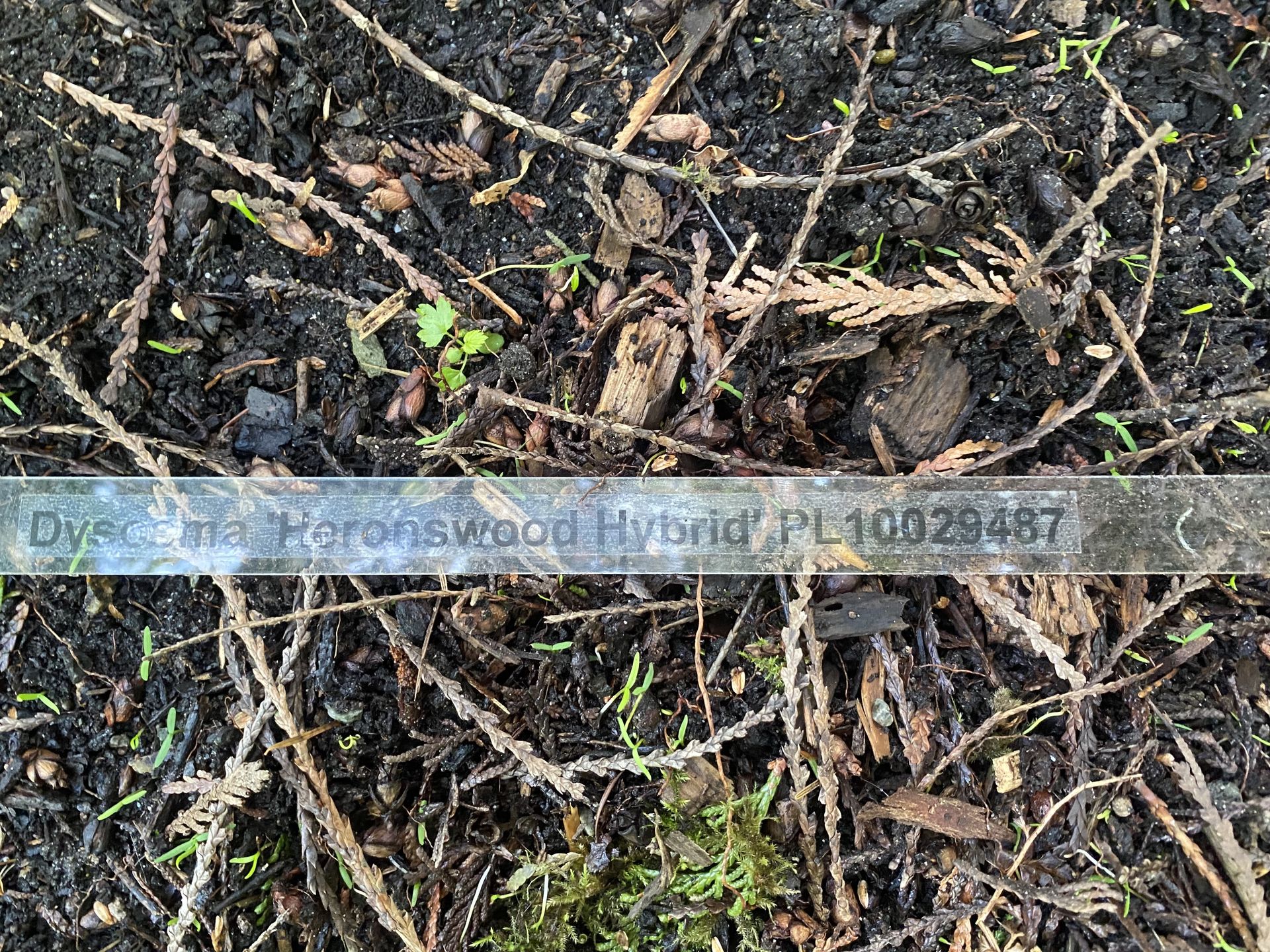 Plant Labeling & Garden Record Keeping, with Ross Bayton | Heronswood ...