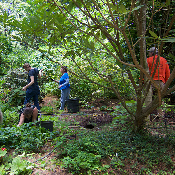 Help Heronswood Gardens